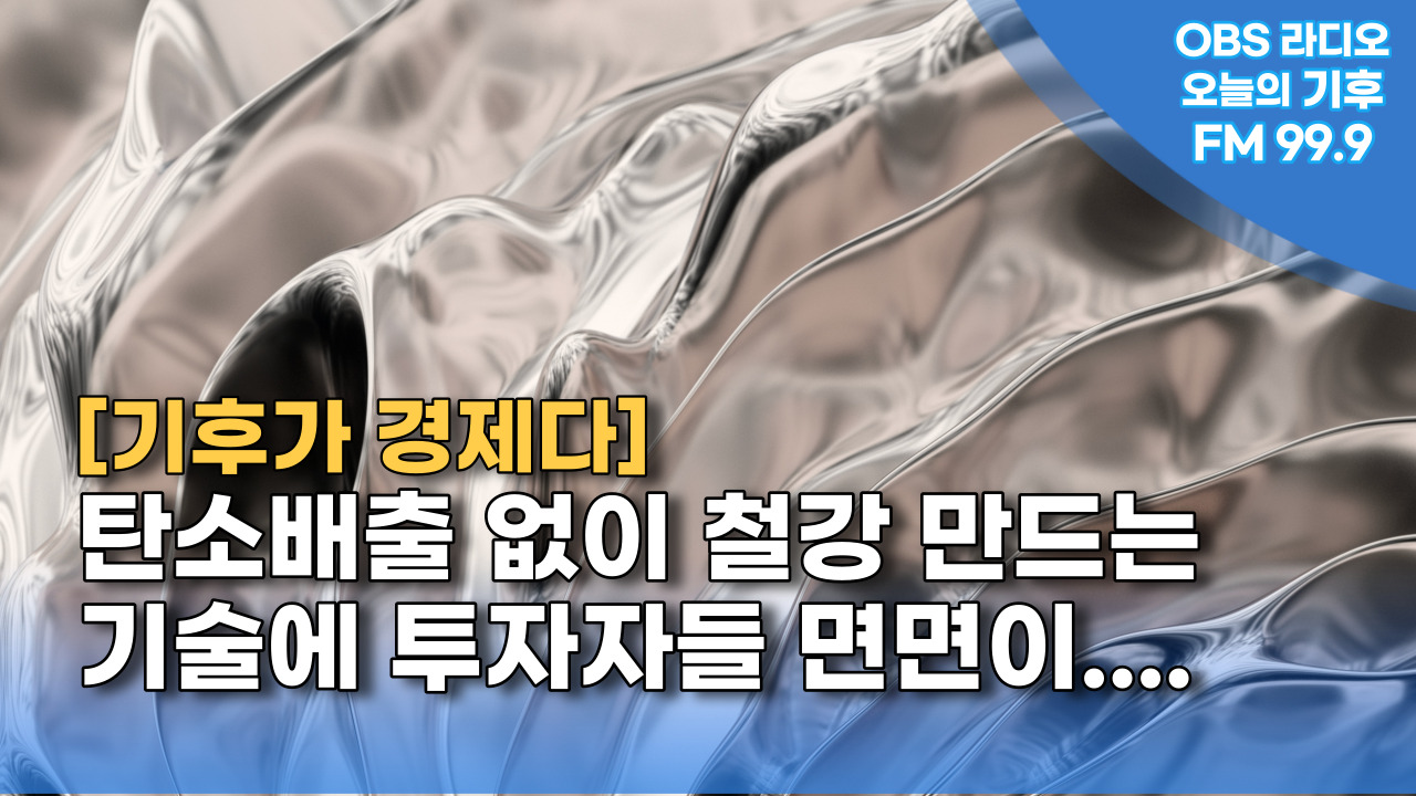 탄소배출없이 철강 만드는 기술에 투자큰손 쏠려